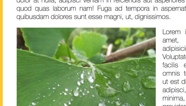 Javascript30 Learn Javascript By Doing 5905